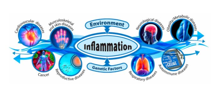 Inflammation - Gold Coast’s Leading Integrative Health Clinic, 32 Years ...
